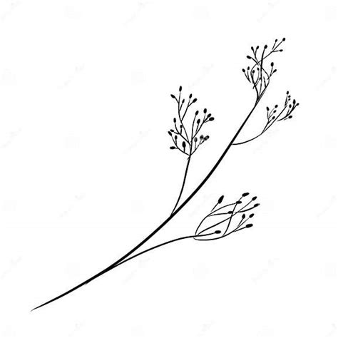 Blade Of Grass With Small Grains Black And White Illustration Simple