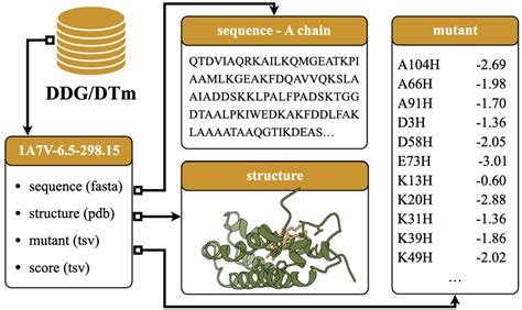 An Example Source Record Of The Mutation Assay Download Scientific Diagram