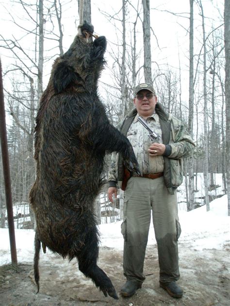 Boar Hunt With Hand Gun Hunt And Slay Your Raging Boar