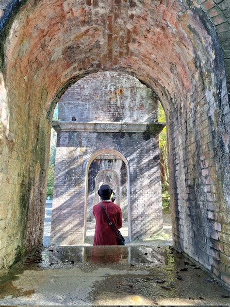 しろねこのあしあと 宵埜白猫の雑記ブログ