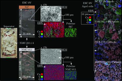 Post Mortem Analysis Showing Sem And Edx Analysis Jcm 600 Jeol