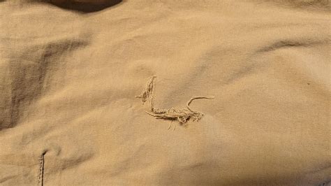 How To Patch Tear In Synthetic Pants 95 Nylon 5 Spandex R Sewing