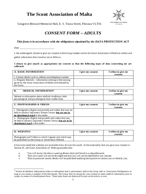 Data Protection Consent Adults En Doc Template Pdffiller