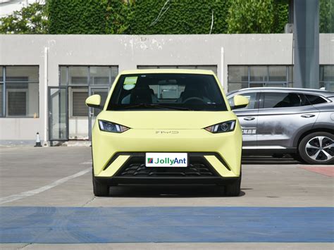 Byd Dolphin Small Mini Electric Electrical Auto Dolphin Electric Car And Small Electric Car