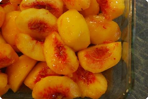 Domestic Life Daniele Evans