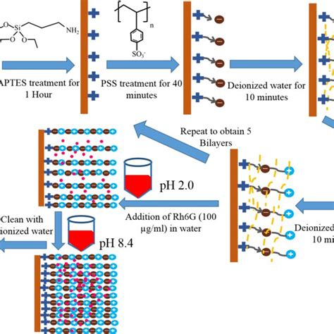 Schematic Illustration Of Polyelectrolyte Layer By Layer Deposition And