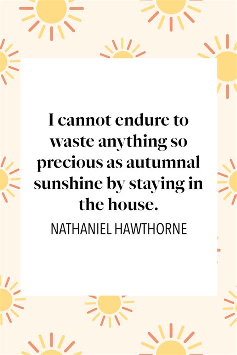 45 Best Sunshine Quotes Inspirational Sayings