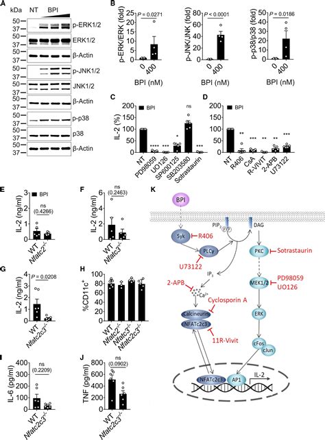 Bactericidalpermeability Increasing Protein Instructs Dendritic Cells