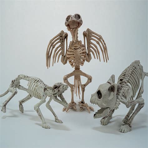Tiny Skeleton Collection L Fun Little Toys Funlittletoys