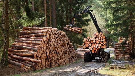 Forest Based Industries Wikipedia
