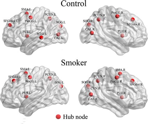 The Global Network Hubs With High Nodal Efficiency In Young Smokers And