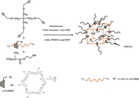 Polymers Special Issue Controlled Polymerization