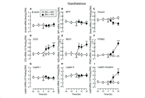 Transcript Expression Of Orexigenic And Anorexigenic Factors Within