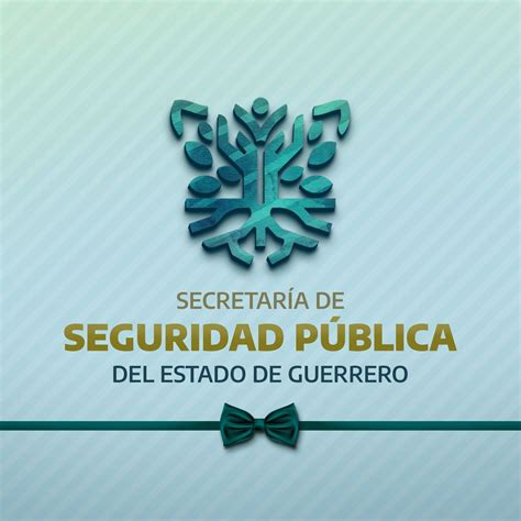Secretaría Secretaría De Seguridad Pública De Guerrero
