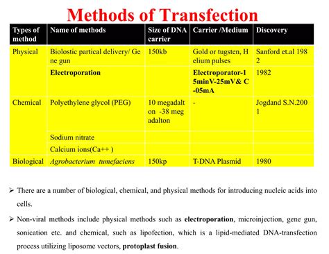 Transfection Ppt