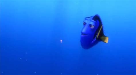 Finding Nemo Squishy