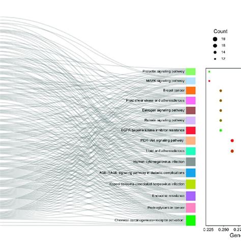 A Reactome Pathway Enrichment Analysis Of 56 Overlapped Genes B