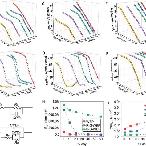 Eis Spectra Of Different Coatings During 60 Days Of Immersion In Download Scientific Diagram