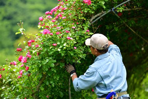Oceanic Landscaping Expert Landscape Contractors