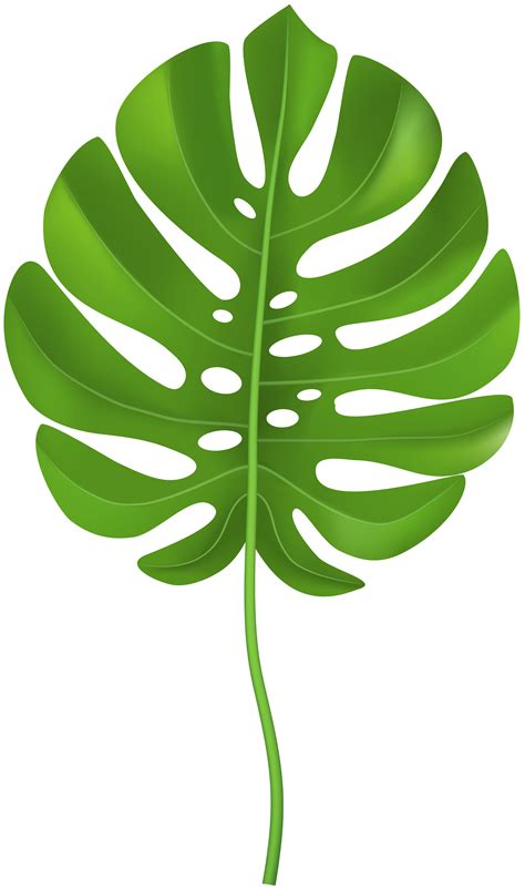 Free Printable Tropical Leaf Template Printable Word Searches Printable Leaves