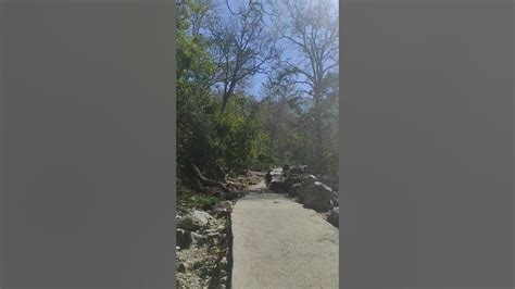 Rishikesh Nilkanth Mahadev Travel Vlog Youtube