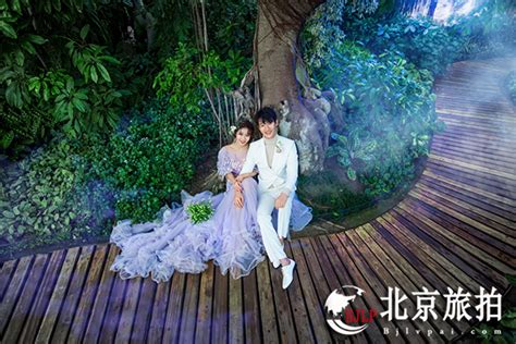 北京拍薰衣草婚纱照哪家婚纱摄影拍的好？ 知乎