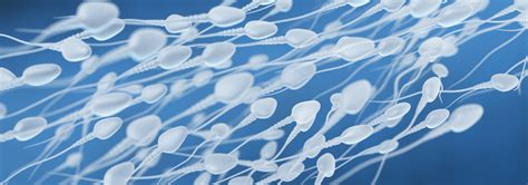 Hyperspermia What To Know