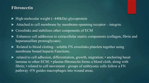Extracellular Matrixcellbiologycellpptx Pptx