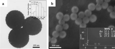 A Tem And B Sem Micrographs Of Sio2 Au Nanoshells Insets 5a Size