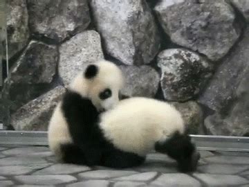 Love Fail The Awkward Stages Of Drunk Sex YourTango