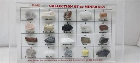 Mass Transfer Lab Elmo Minerals Set Of 20 Manufacturer From Ambala
