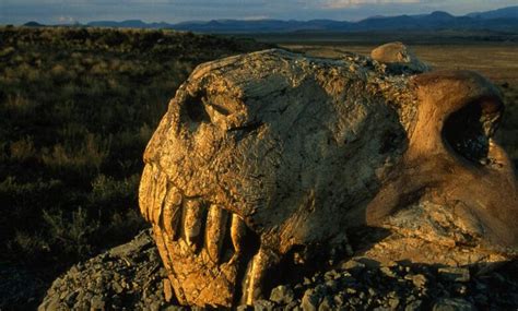 Triassic