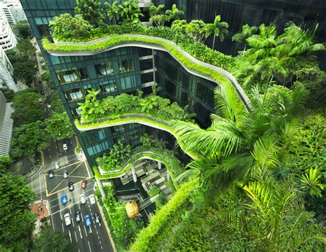 Biophilic Design In Asia Human Spaces