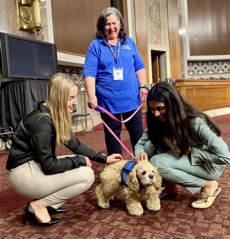 Meet The Pets 2023 Brings Furry Stress Relief Back To Capitol Hill