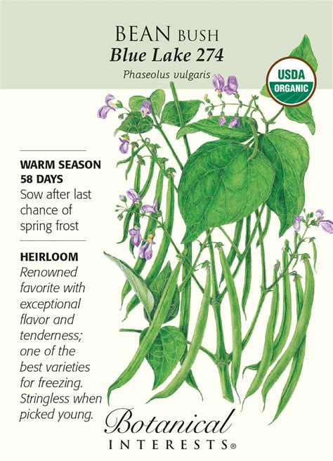 Blue Lake 274 Bush Bean Seeds 20 Grams Organic Hirts Gardens