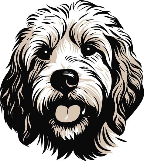 A Portrait Of A Happy Cockapoo 49261563 Vector Art At Vecteezy