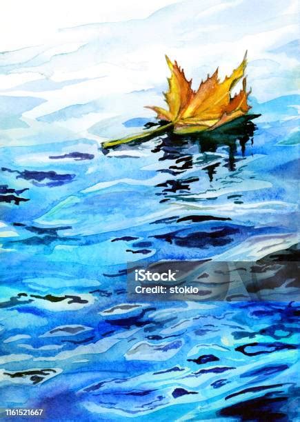 Daun Marple Kering Di Permukaan Air Ilustrasi Stok Unduh Gambar Sekarang Air Alam Basah