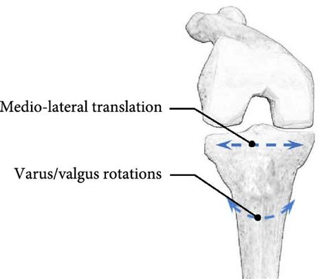 Knee Joint Movement A Left View B Front View Download