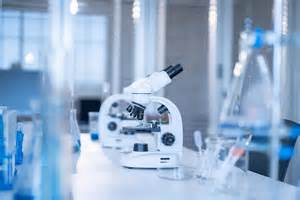 The Ethics And Effectiveness Of Cloning