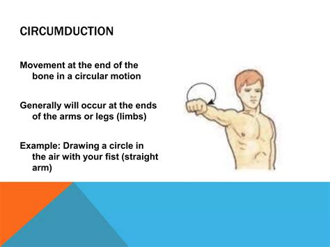 Joint Actions And Movement Pptx