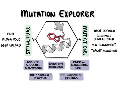 Mutationexplorer