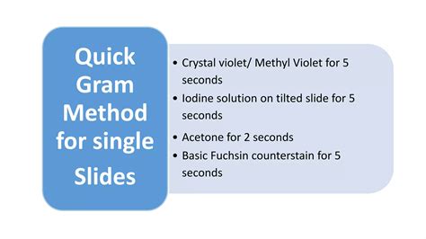 Staining Of Microorganisms Pptx