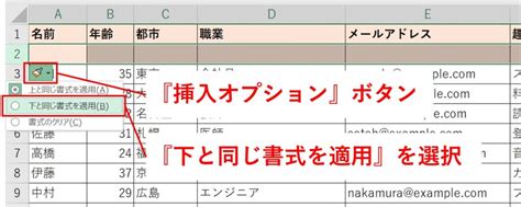 【excel】行や列を追加・挿入して増やす【上の書式をコピーしない方法】 Excel Starter Kit
