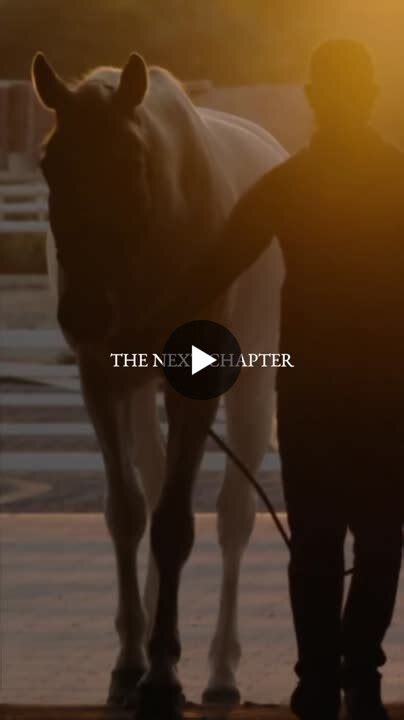 Dubairealestate Jge Offplandubai Propertyinvestment Marketinsights… Dan Lasley