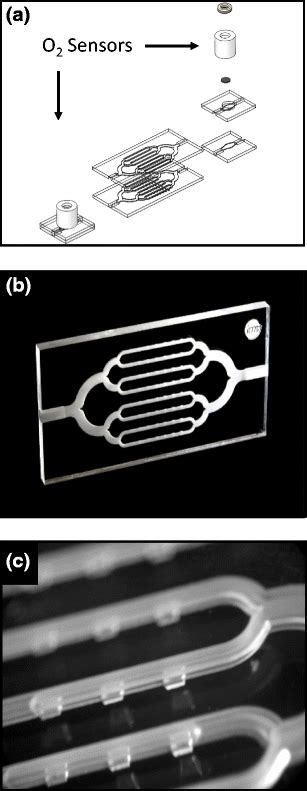 Design Of The Microfluidic Perfusion System For Isolated Islets Mps Download Scientific
