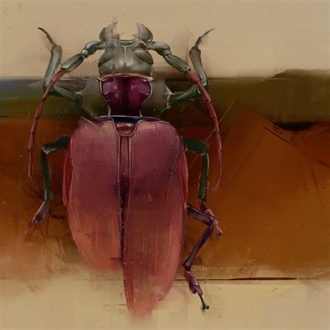 Beetles Behance