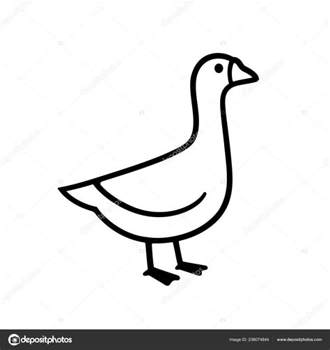 Gans Clipart Zwart Wit Gans Met Een Madeliefje Kleurplaat Gratis
