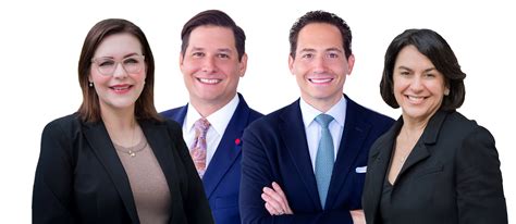 Lsn Goverment Affairs Lsn Partners Specialized Services