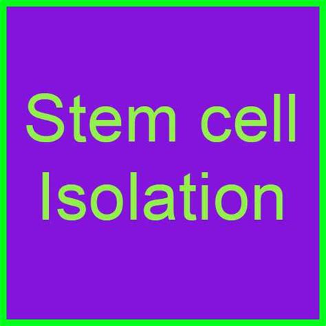 Isolation Of Rest Of The Trypsinized Stem Cells From Empty Cell Culture