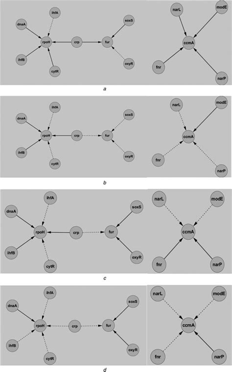 Adaptive Modelling Of Gene Regulatory Network Using Bayesian Information Criterion Guided Sparse